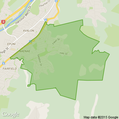Naenae, Lower Hutt - Neighbourly