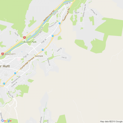 Naenae, Lower Hutt - Neighbourly